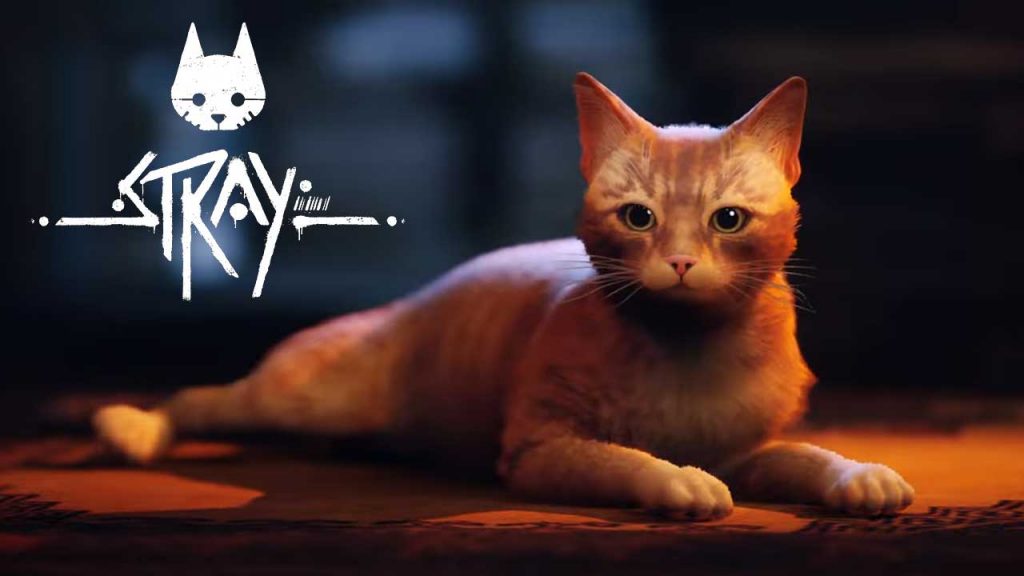Cats Are Loving This Game… And So Are The Gamers! – Gamers-outlet.net