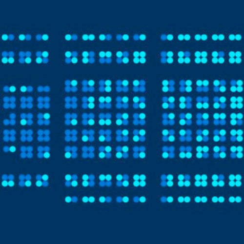 Buy Windows Server 2022 Remote Desktop Services 50 USER Connections Cd ...